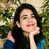 Detailed Information About Neosurf: How It Works, Fees, Limits